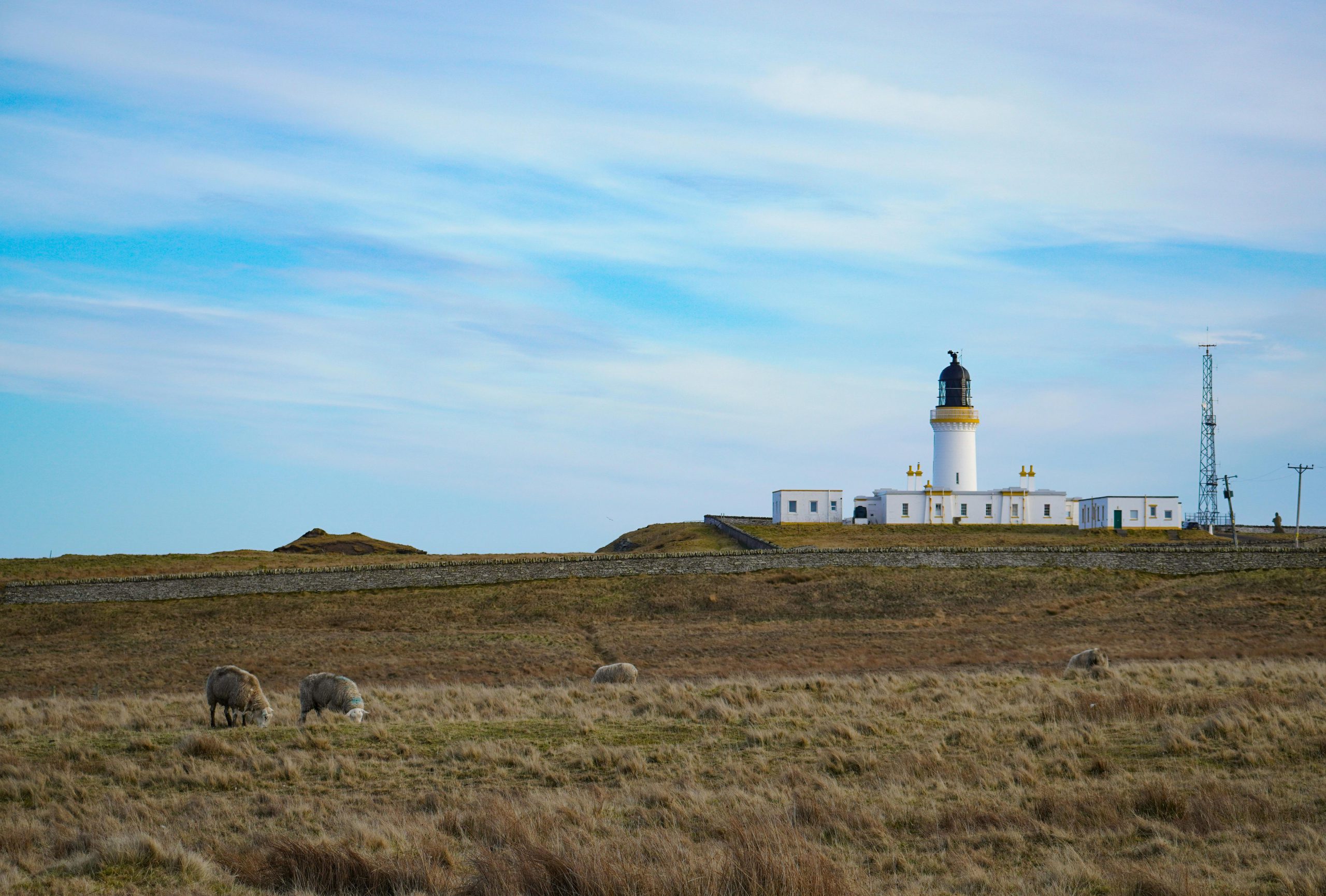 The Selkies of Orkney: Folklore by the Sea - Scottish Roundup